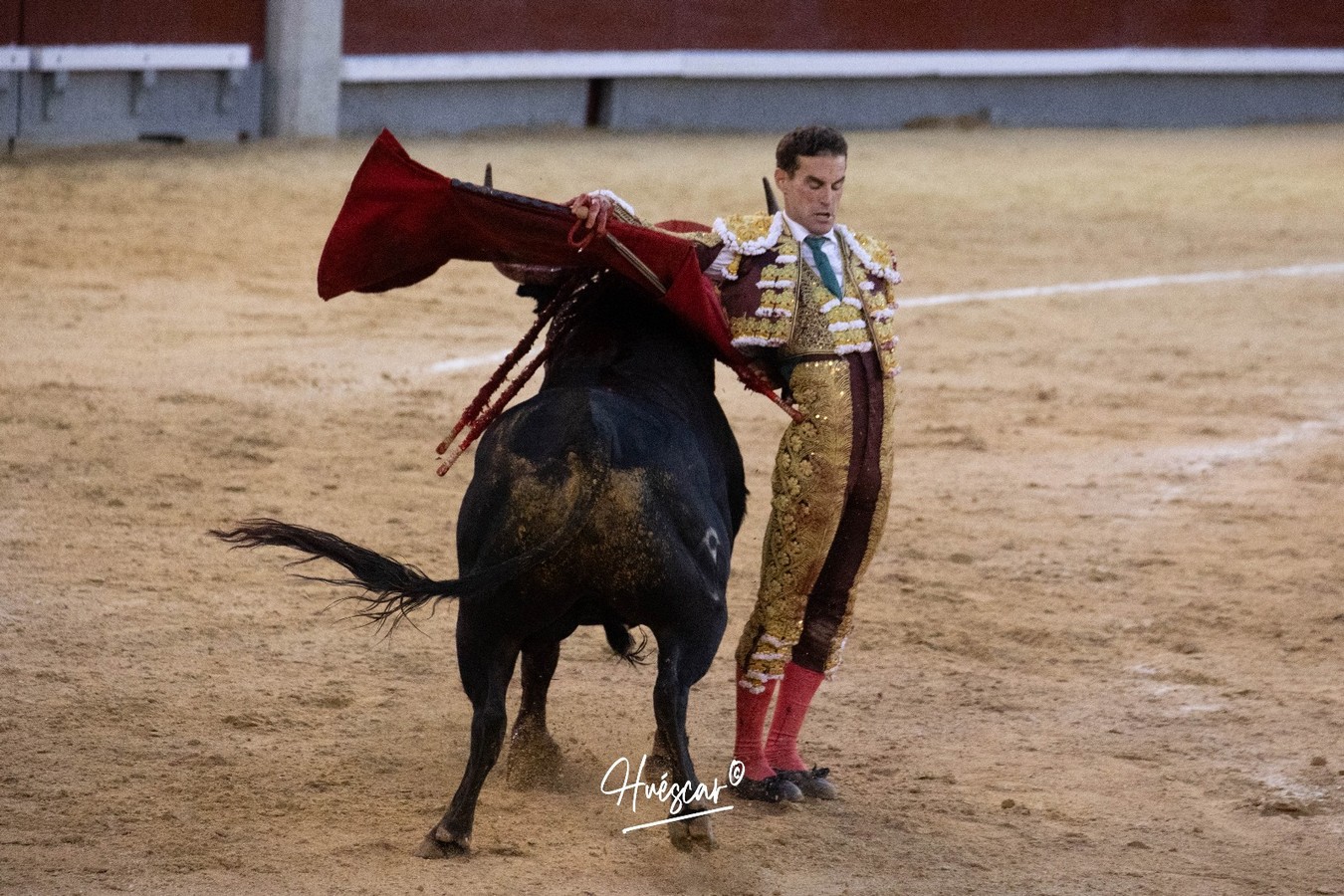 La historia de la bernadina - Chicuelinas y Tafalleras