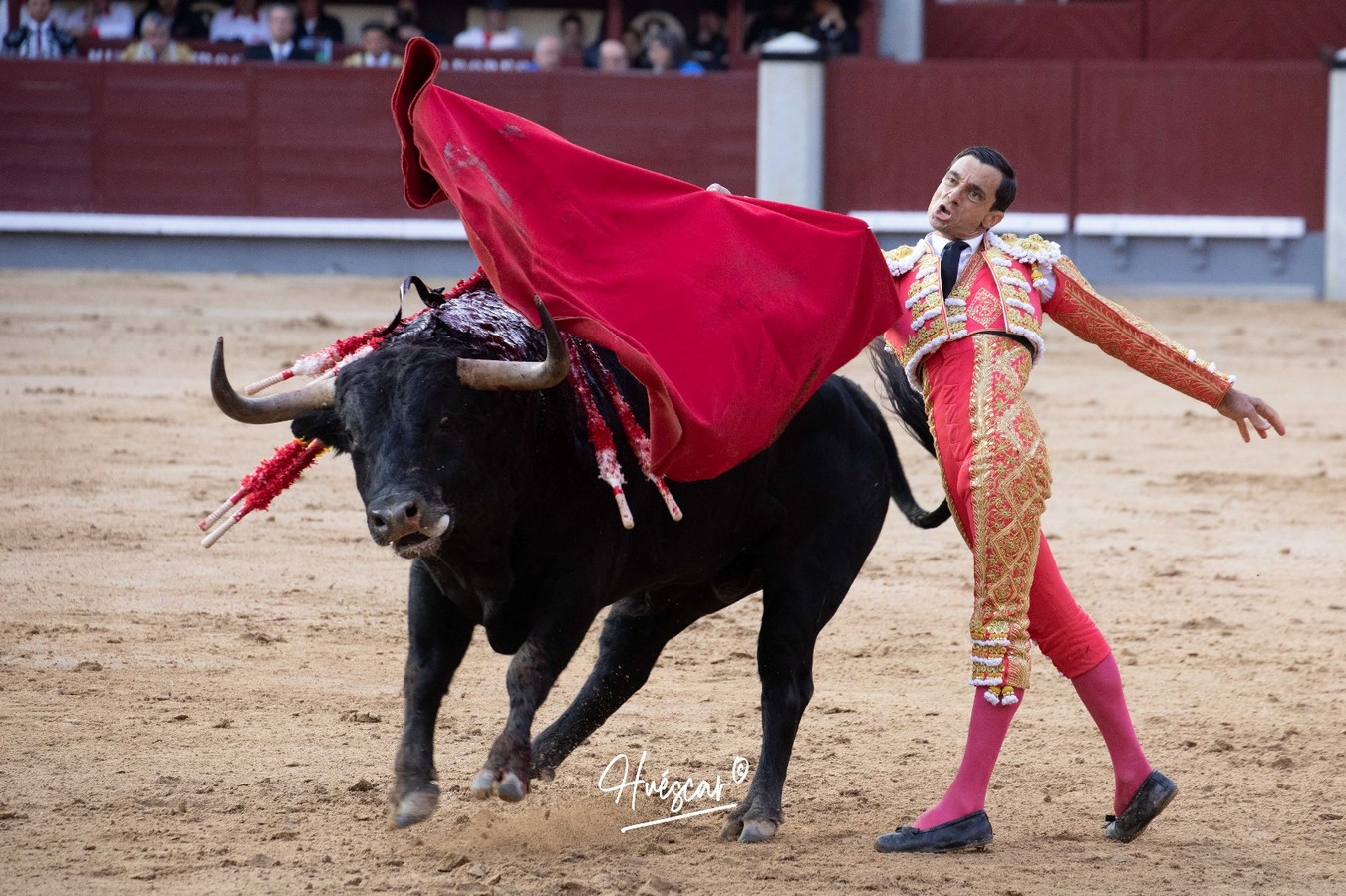 Paco Ureña sobresale en el Día de San Isidro - Chicuelinas y Tafalleras