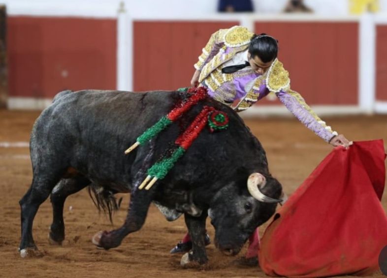 Diego San Román, base de la campaña en México - Chicuelinas y Tafalleras